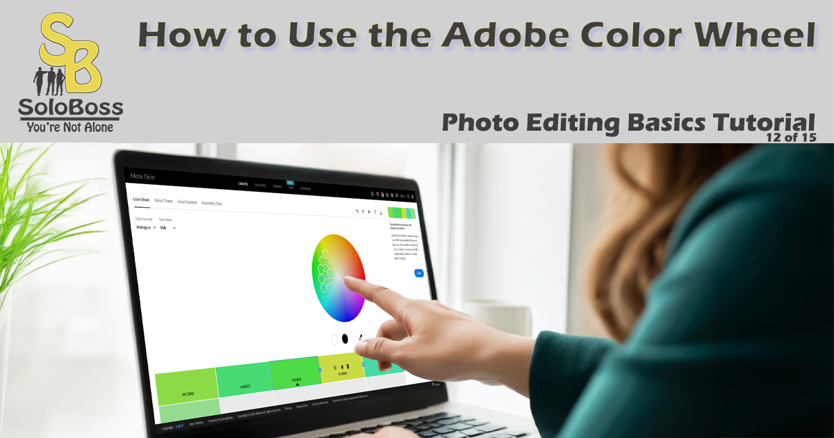Photo Editing Basics Tutorial: How to Use the Adobe Color Wheel